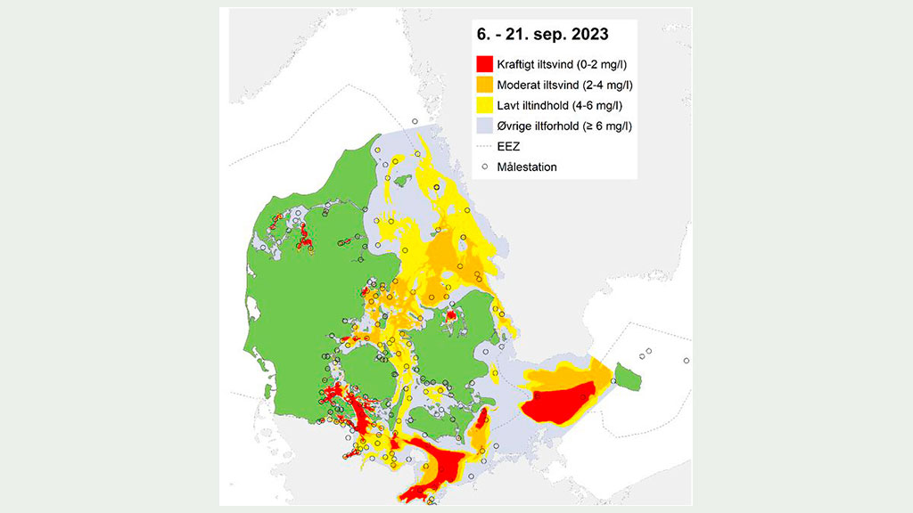 Fakta om iltsvind i danske kystvande